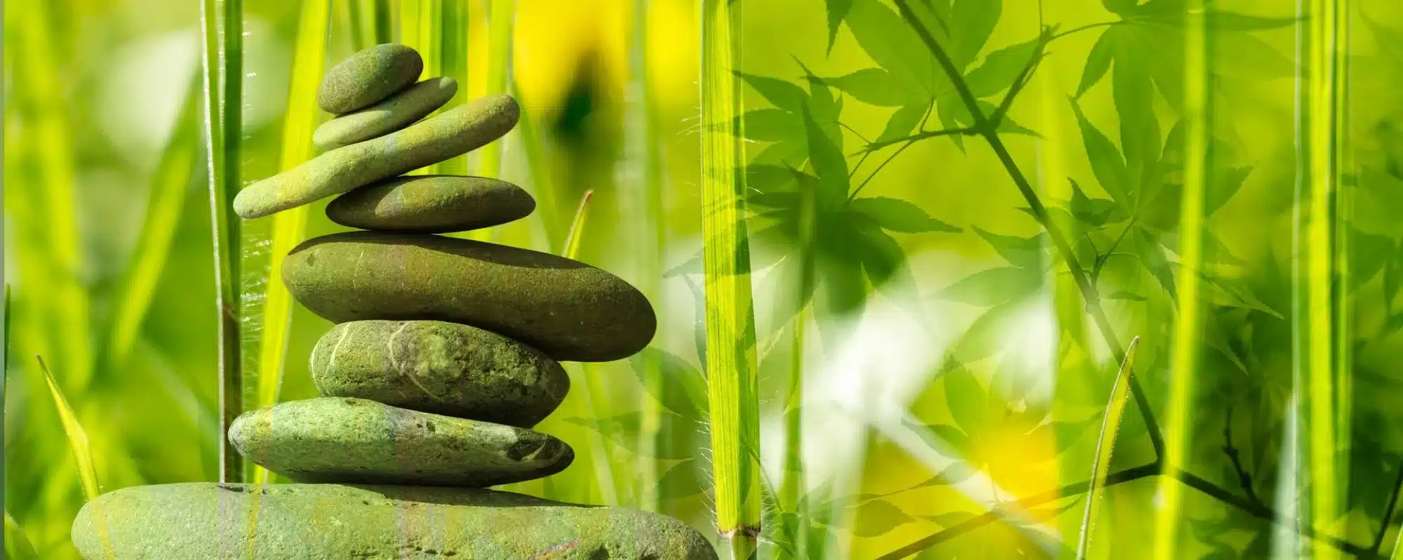 Ritroviamo la purezza - Ethicare